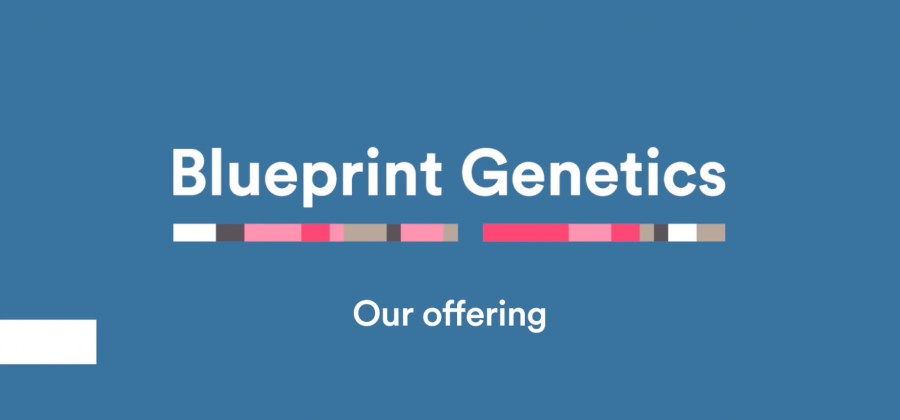 Our Offering - Blueprint Genetics