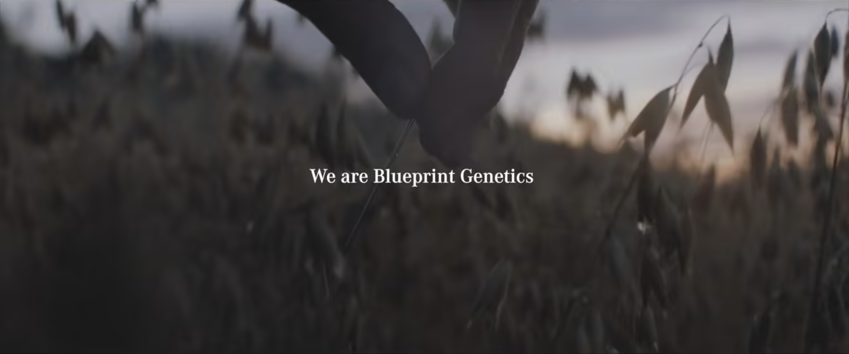 Who We Are - Blueprint Genetics